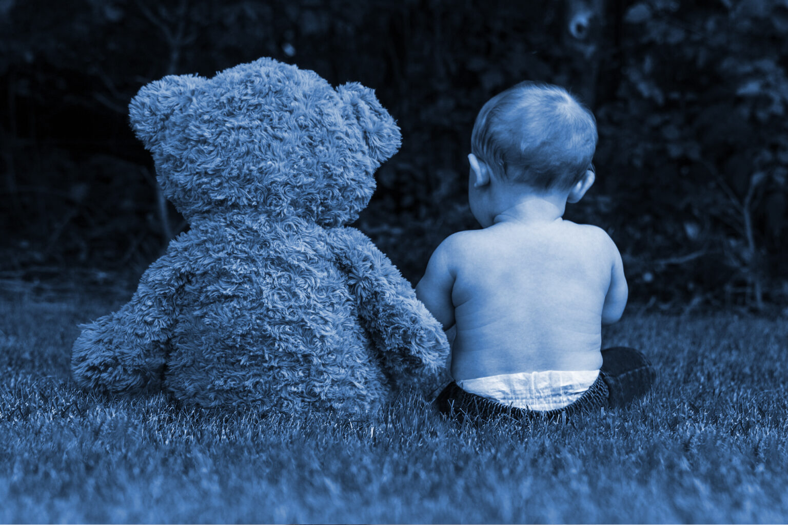 The Teddy Bear Project Home - The Teddy Bear Project