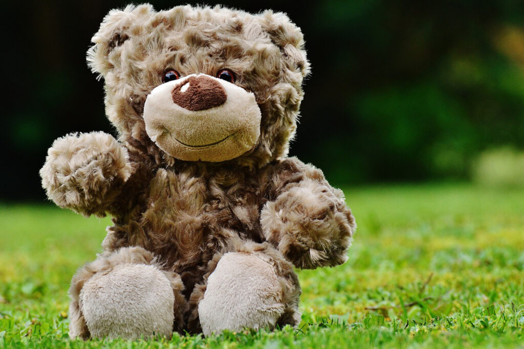 The Teddy Bear Project Home - The Teddy Bear Project